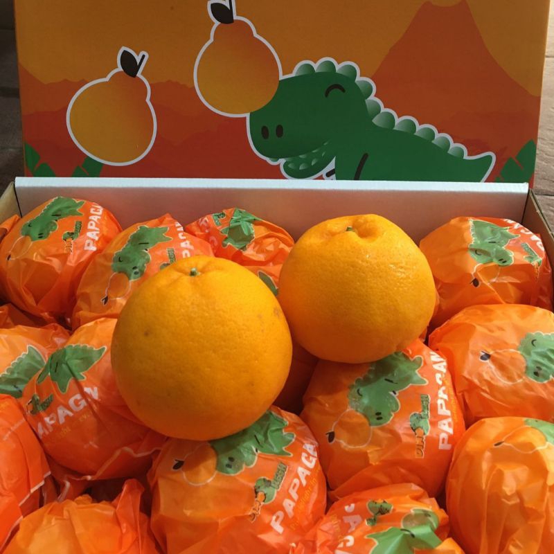 Jual Jeruk Papagan Dino Fresh /Dus | Shopee Indonesia