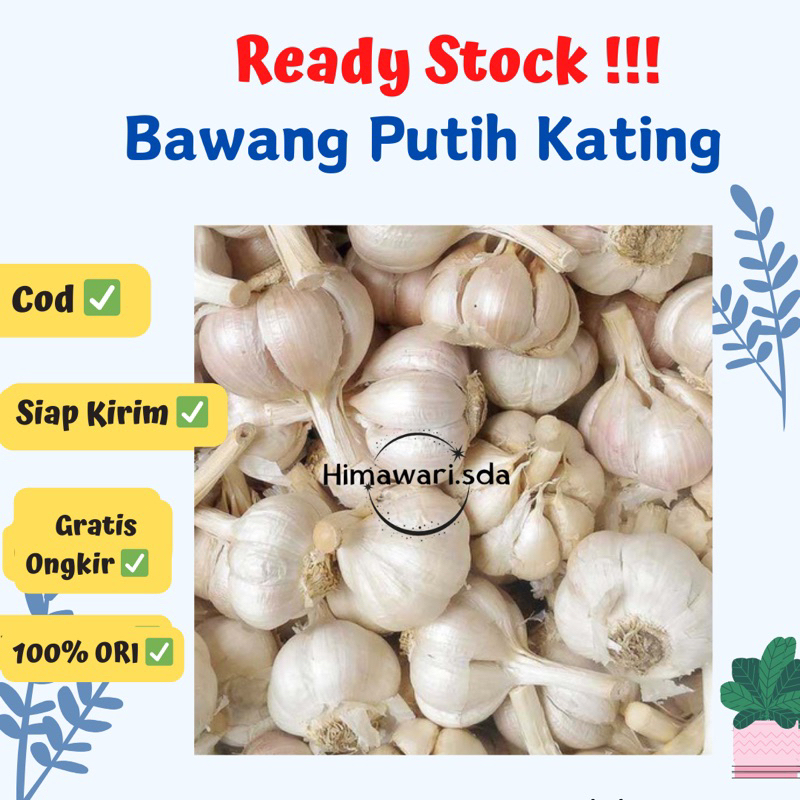 Jual Bawang Putih Kating | Shopee Indonesia