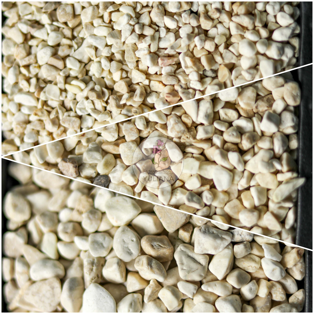 Jual Batu alam akik putih 1Kg | Batu Kerikil Putih | Batu Ampyangan ...