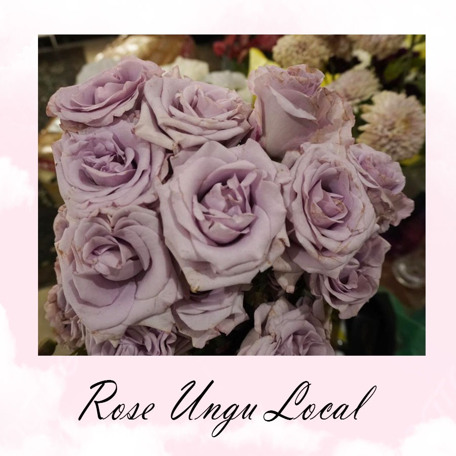 Jual Supplier Mawar Bali / Bunga Potong Batangan/ Fresh Flower/ Mawar ...