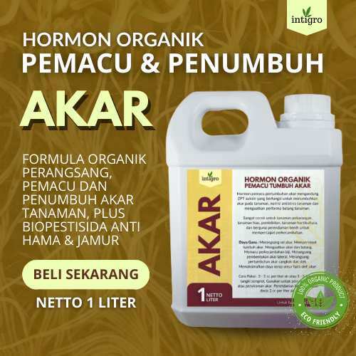Jual Pupuk Penumbuh Akar / Pupuk Akar Tanaman Buah / Pupuk Akar Durian ...