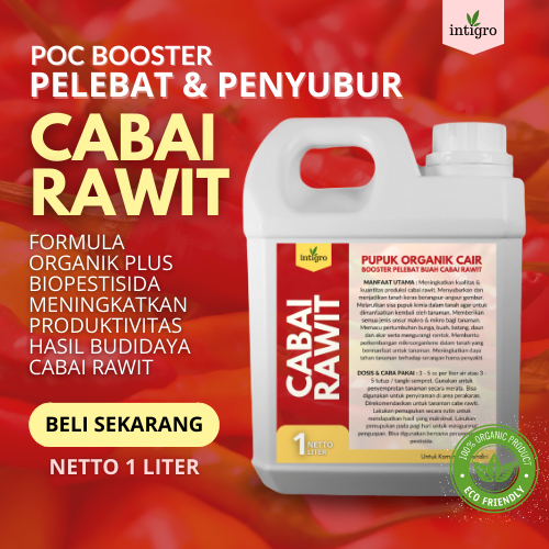 Jual Pupuk Cabe Rawit Agar Berbuah Lebat / Pupuk Cabe Anti Rontok Keriting / Pupuk Cabe Berbuah ...