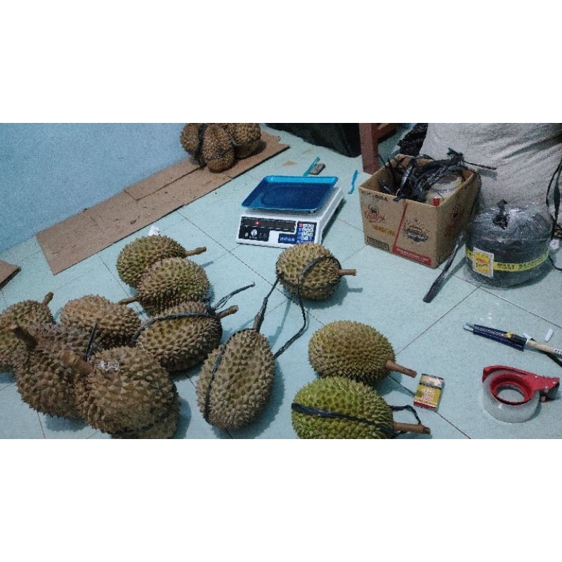 Jual Durian Bawor Banyumas ( Utuh fresh ) | Shopee Indonesia