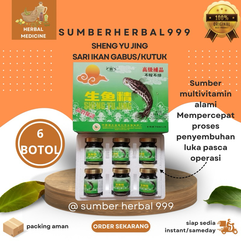 Jual SHENG YU JING 6 BOTOL | SARI IKAN GABUS KUTUK | Shopee Indonesia