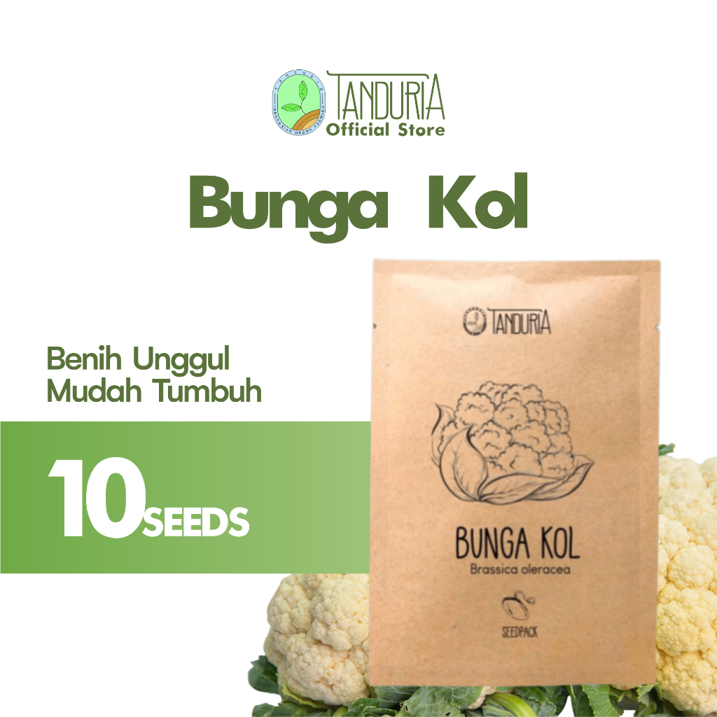 Jual TANDURIA - Benih Bunga Kol Cauliflower Kembang Kol Sayur Bibit ...
