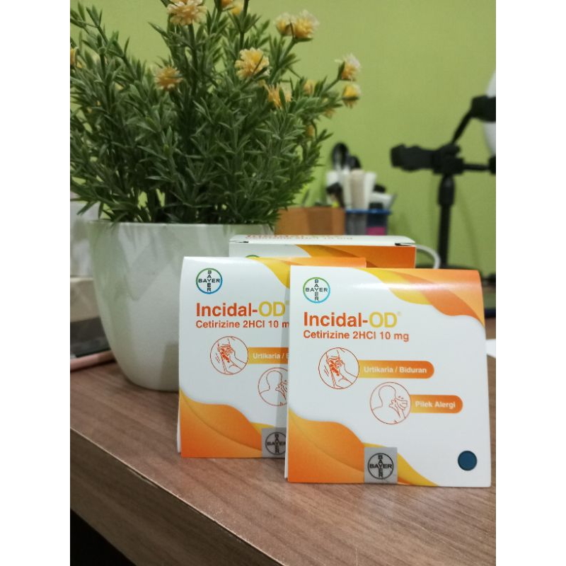 Jual incidal-od 10mg strip 4 kapsul / obat alergi | Shopee Indonesia