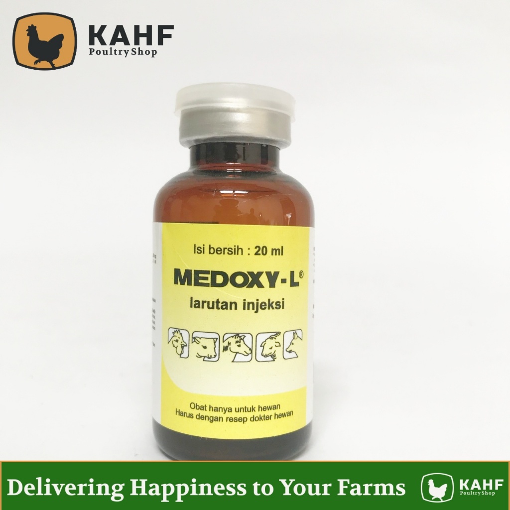 Jual Medoxy L 20 ml Injeksi Antibiotik Unggas Sapi Kambing Kuda Kucing ...