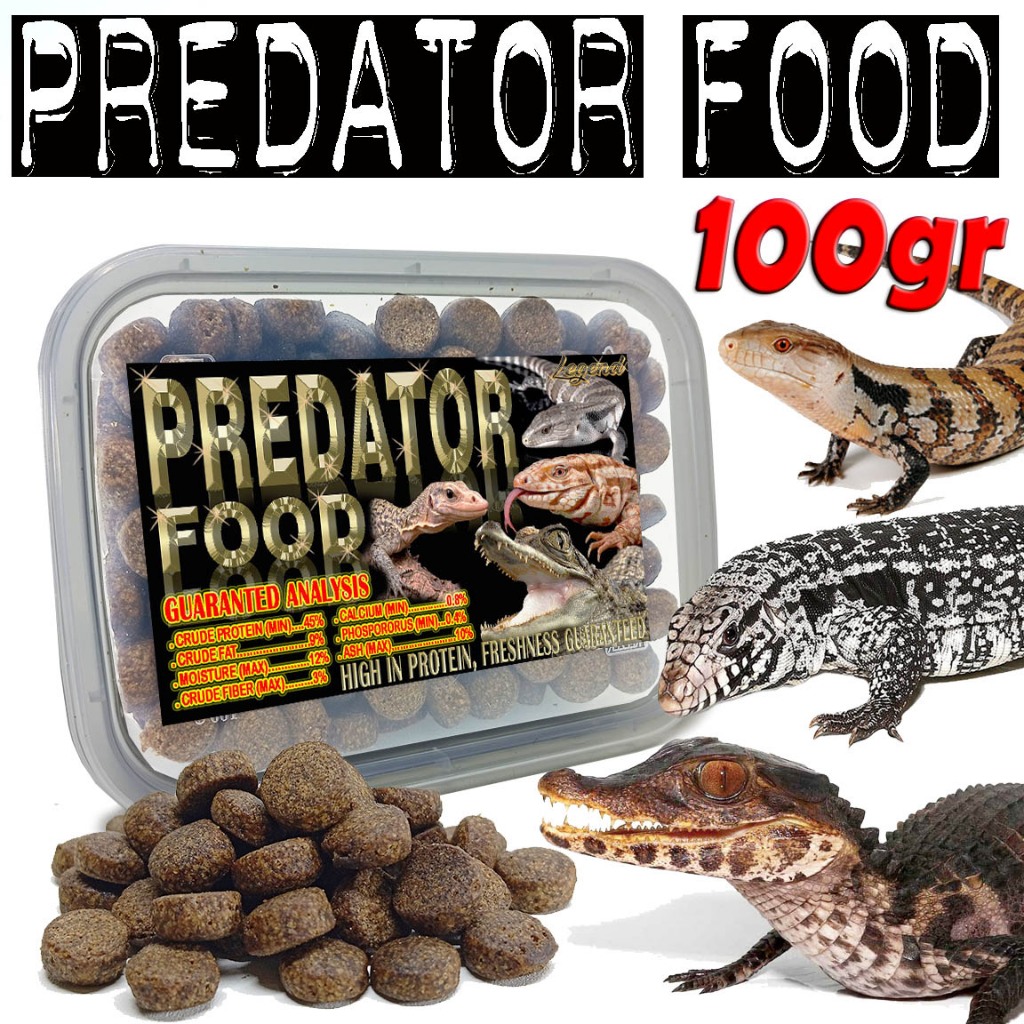 Jual 100GR PELET DIET PAKAN REPTILE PREDATOR FOOD BUAYA CAIMAN ...