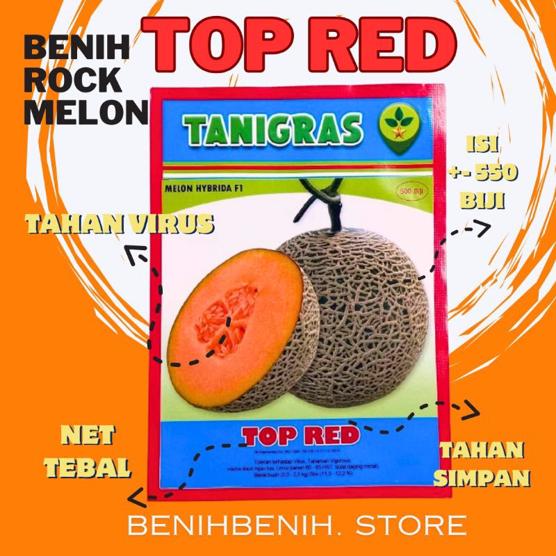 Jual Benih Melon TOP RED Tanigrass isi +-500 biji / Benih Rock Melon ...