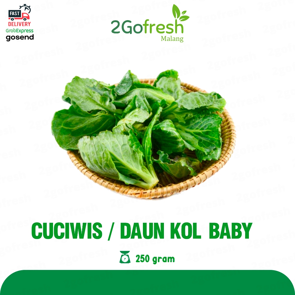 Jual Cuciwis / Daun Kol Baby Fresh - Sayur Sayuran | Shopee Indonesia