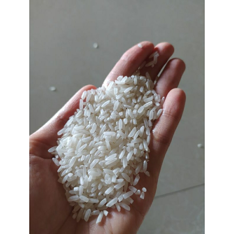 Jual Beras raja LELE UNGU | Shopee Indonesia