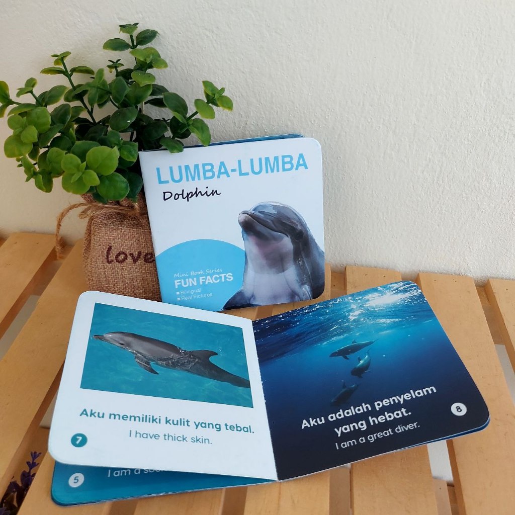 Jual SK MINI BOOK FUN FACT - Buku Pengenalan Pengetahuan Anak Bayi ...