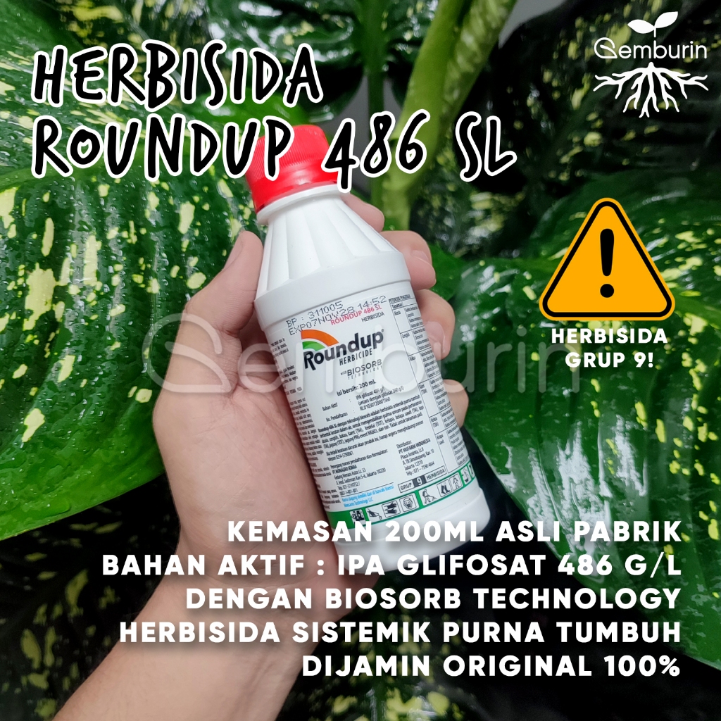 Jual Roundup 486SL Kemasan 200 ml Asli Pabrik / Herbisida Biosorb Sistemik Obat Pembasmi Rumput ...