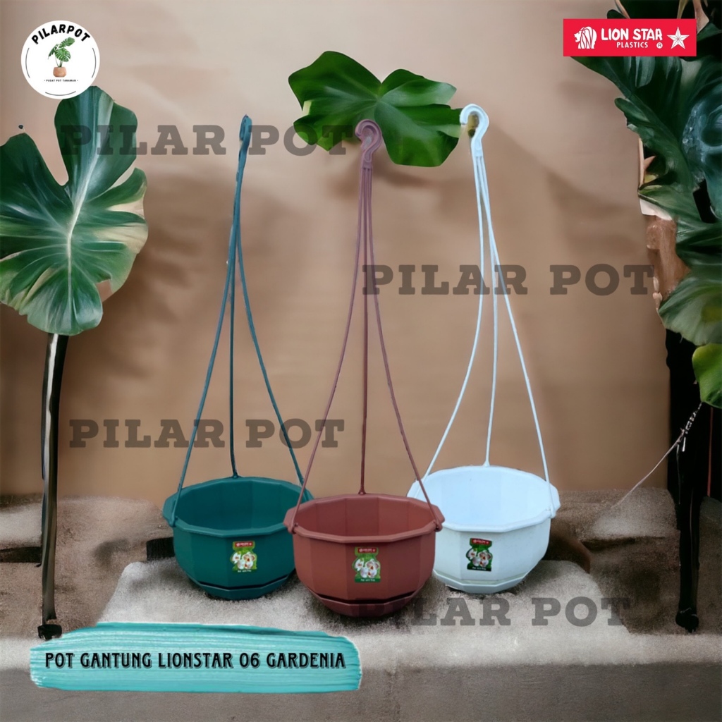 Jual Pot Bunga Tanaman Gantung Lion Star Gardenia 06 Bahan Tebal ...