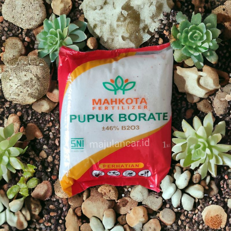 Jual Pupuk Borate Mahkota | Shopee Indonesia