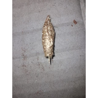 Jual wesi kuning Harga Terbaik & Termurah Mei 2024 | Shopee Indonesia