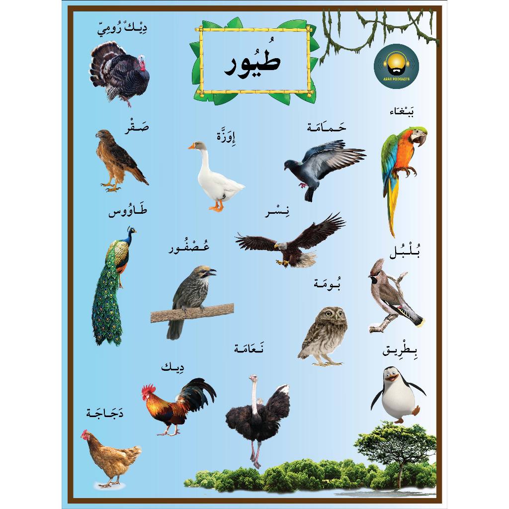Jual Poster Edukasi Bahasa Arab | Shopee Indonesia