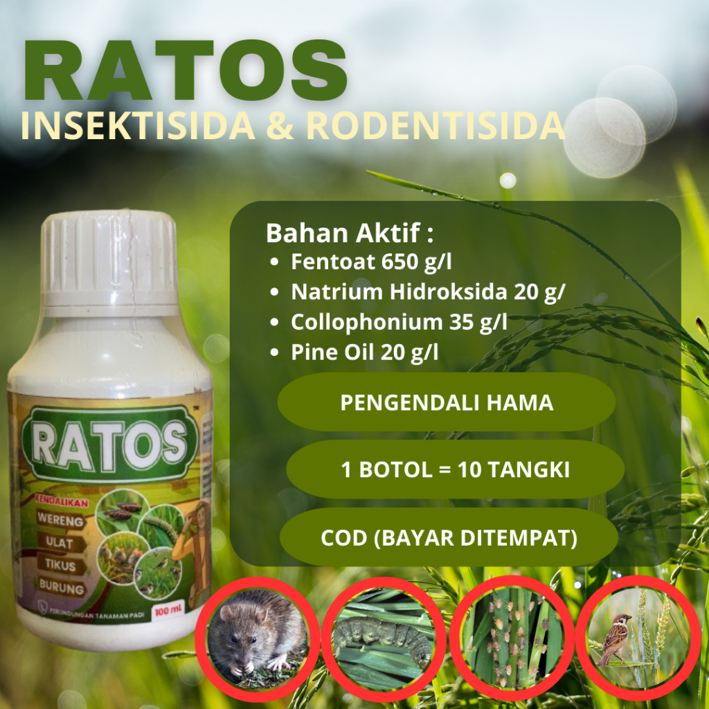 Jual Sangat Ampuh Mengatasi Hama Tikus dan Burung Sawah Ratos Hijau ...