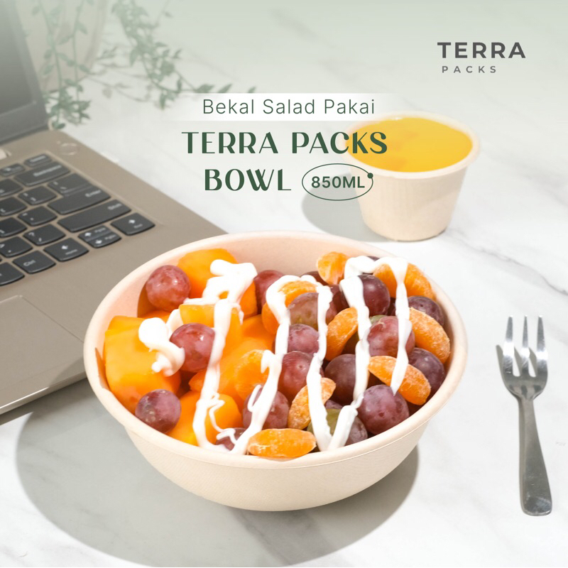 Jual Terra Bagasse Bowl Clear Transparan Lid 850 ML Paper Bowl Mangkok Disposable Sekali Pakai ...