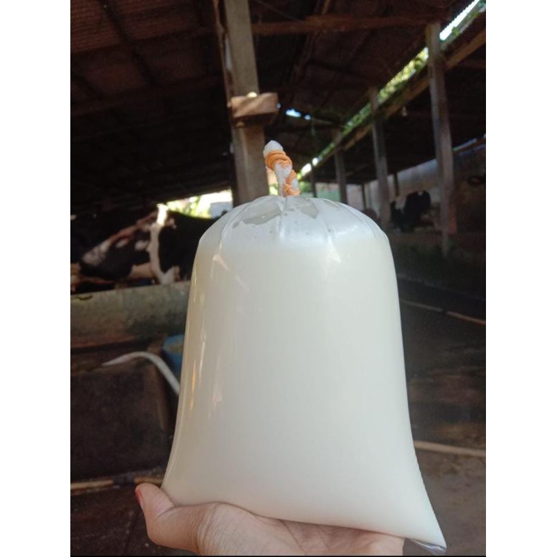 Jual SUSU SAPI | Shopee Indonesia
