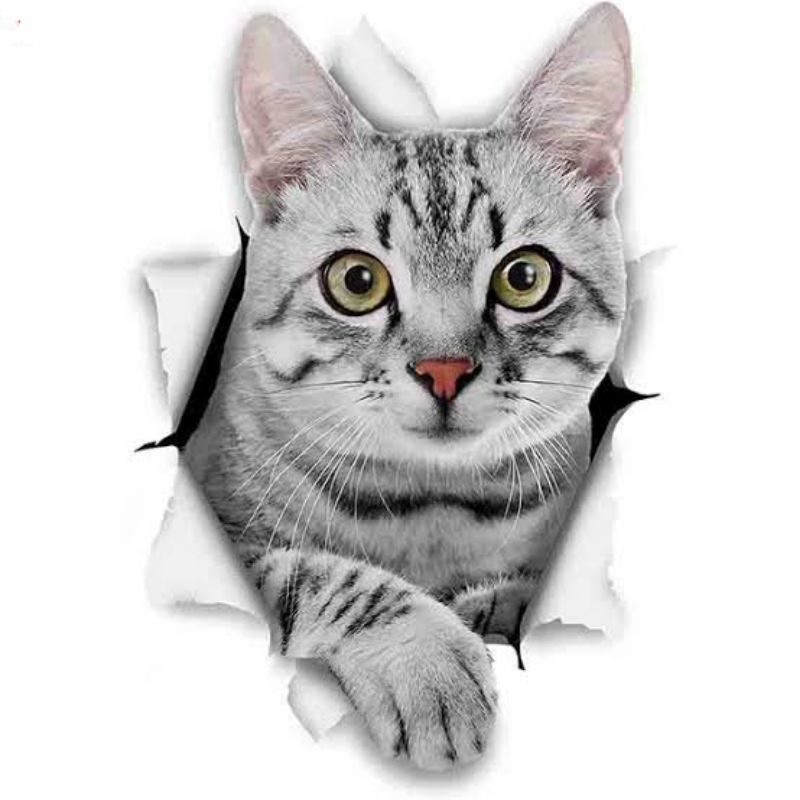 Jual Stiker kucing abu lucu 3D anti air aksesoris dekorasi hiasan ...