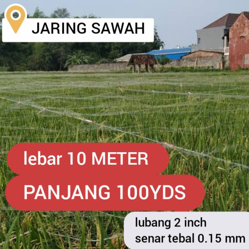 Jual JARING SAWAH LEBAR 10M×100YDS JARING BURUNG JARING PADI JARING ...