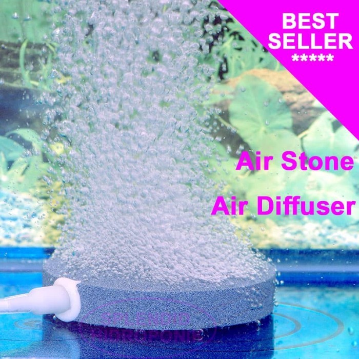 Jual Airstone / Air Diffuser / Bubble Stone Gelembung Udara 60mm | Shopee Indonesia