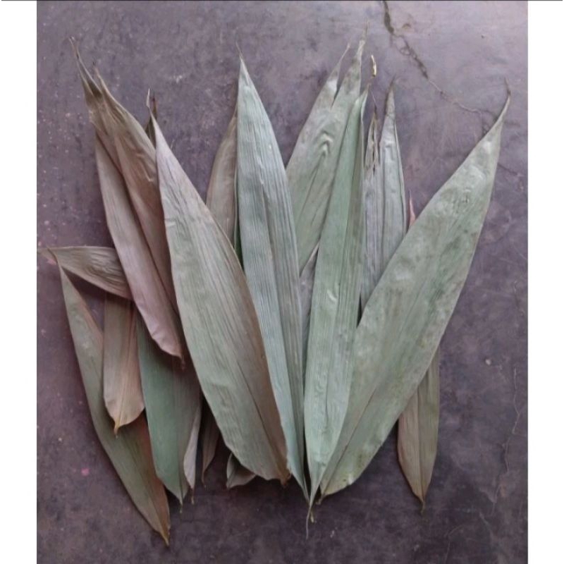 Jual daun bambu kering 50 lembar | Shopee Indonesia