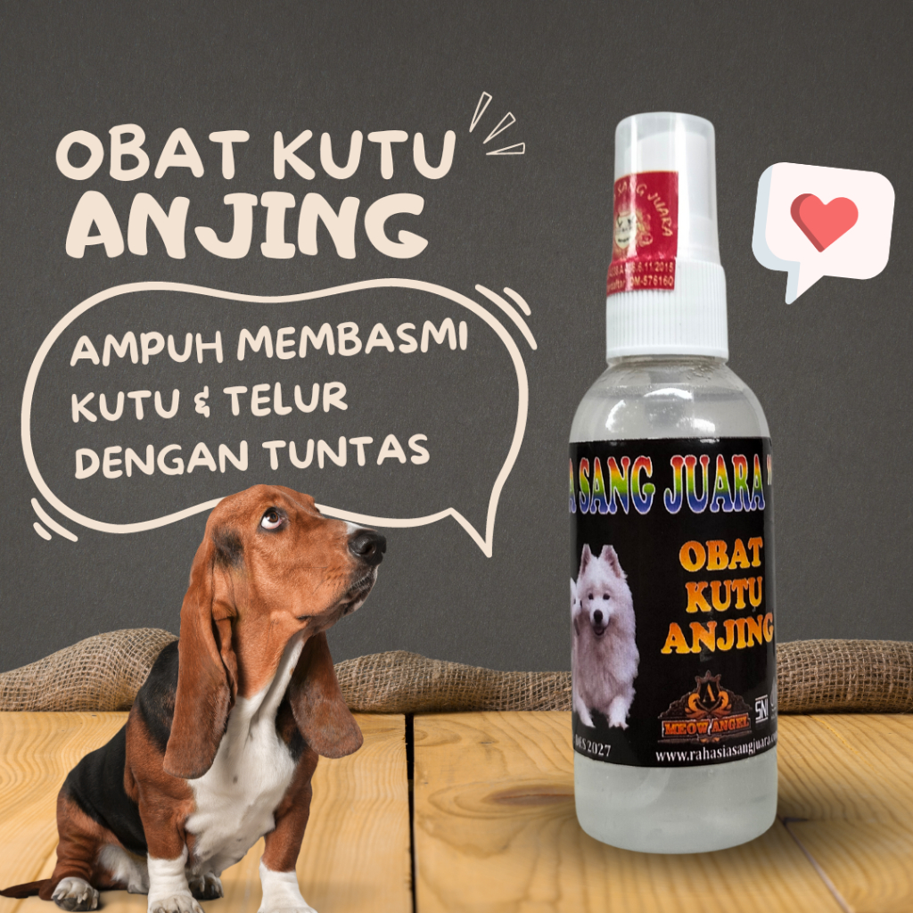 Jual OBAT KUTU ANJING SPRAY AMPUH DAN TELUR KUTU PINJAL TUNGAU CAPLAK ...