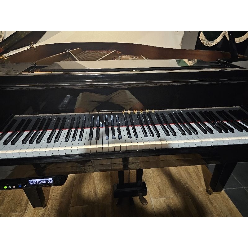 Jual Baby Grand piano Disklavier GB1K. Baby Grand piano Akustik ...