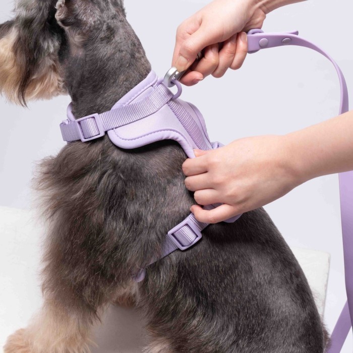 Jual WOOFIDOO Dougie Premium Dog Cat Harness Pet Harnes Vest Rompi ...