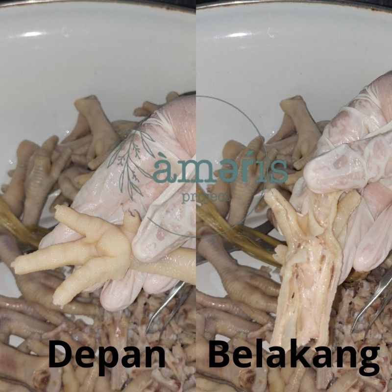 Jual Dakbal / Ceker / Cakar Ayam Tanpa Tulang 250g 500g | Shopee Indonesia