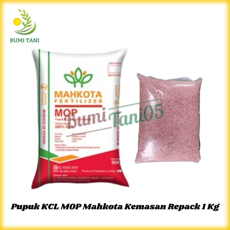Jual Pupuk KCL MOP Mahkota Kemasan Repack 1 Kg | Shopee Indonesia