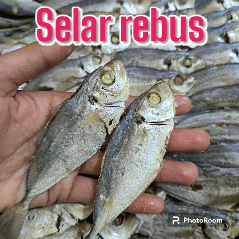 Jual IKAN ASIN SELAR REBUS 1KG | Shopee Indonesia