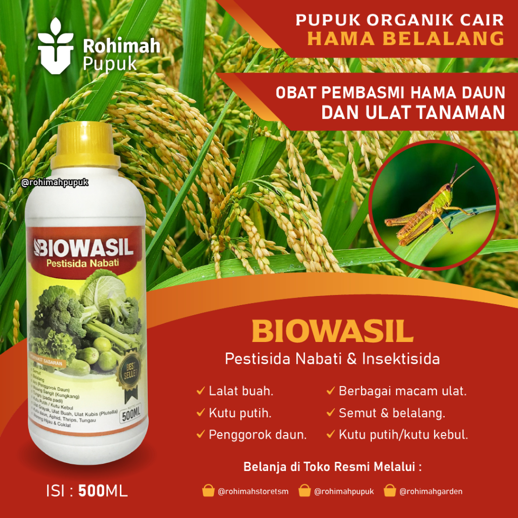 Jual BIOWASIL 500ML PENGUSIR HAMA BELALANG PADI SAWAH PALING BAGUS ...