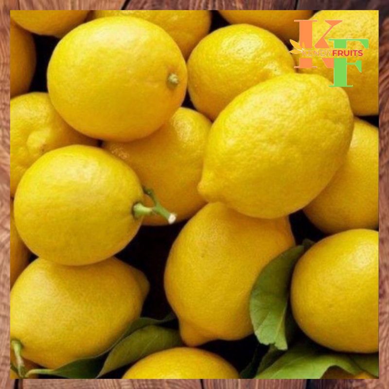Jual JERUK LEMON | LEMON IMPORT PREMIUM ( KHUSUS SAMEDAY DAN INSTANT ...