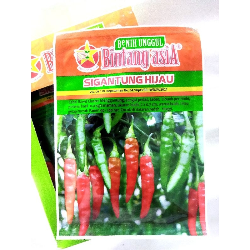 Jual Benih cabe rawit ijo SIGANTUNG HIJAU 10gram, Benih Citra Asia ...
