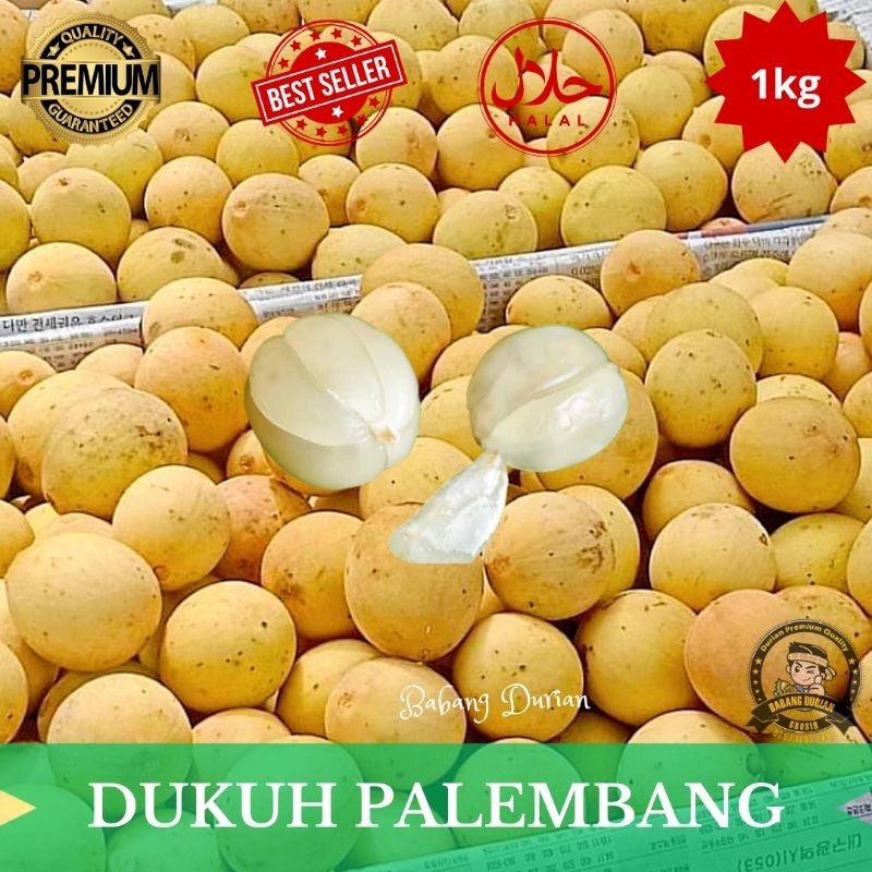 Jual Buah Dukuh Palembang 1kg Manis Freshduku Palembang Shopee Indonesia
