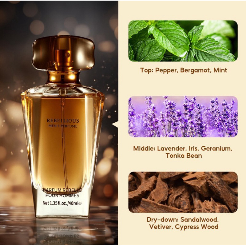 Jual MINISO | REBELLIOUS MENS 40ML PERFUME | MEN PERFUME | Shopee Indonesia