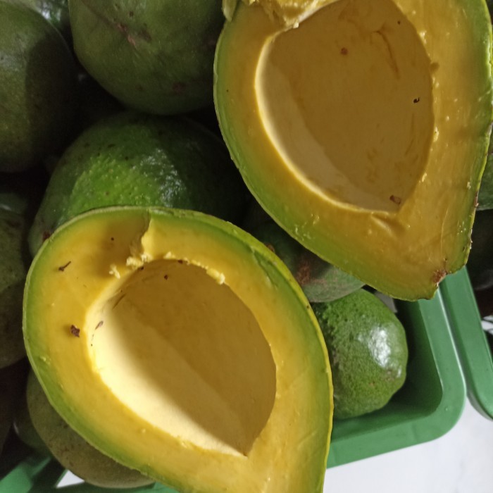 Jual Alpukat mentega organik matang pohon | Alpokat aligator matang ...
