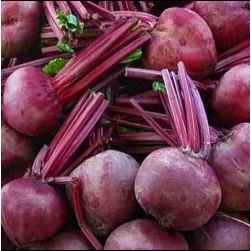 Jual BUAH BEET/BIT ORGANIK, FRESH DARI PETANI, UNT HB N PENGOBATAN ...