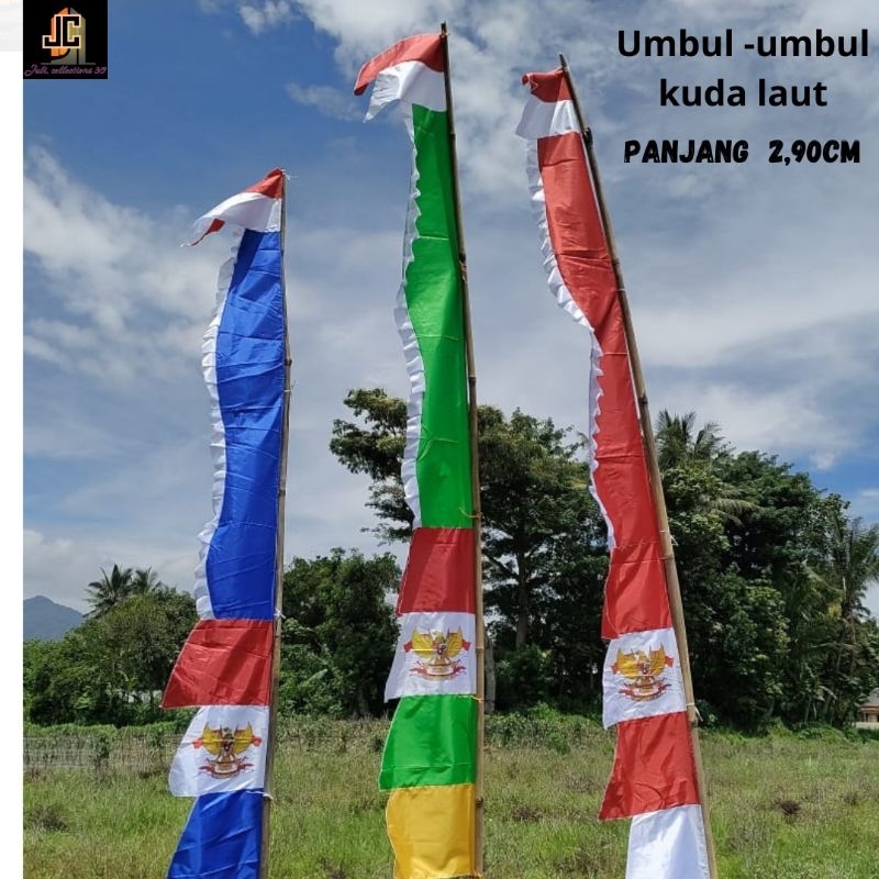 Jual UMBUL UMBUL GERGAJI, UMBUL UMBUL KUDA LAUT, UMBUL2 MURAH | Shopee ...