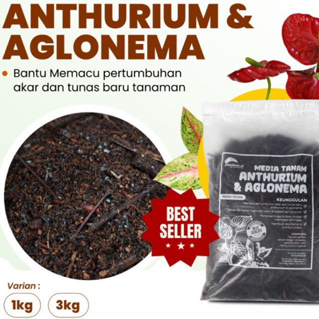 Jual Media Tanam Aglonema Media Tanam 1 Kg Siap Pakai | Shopee Indonesia