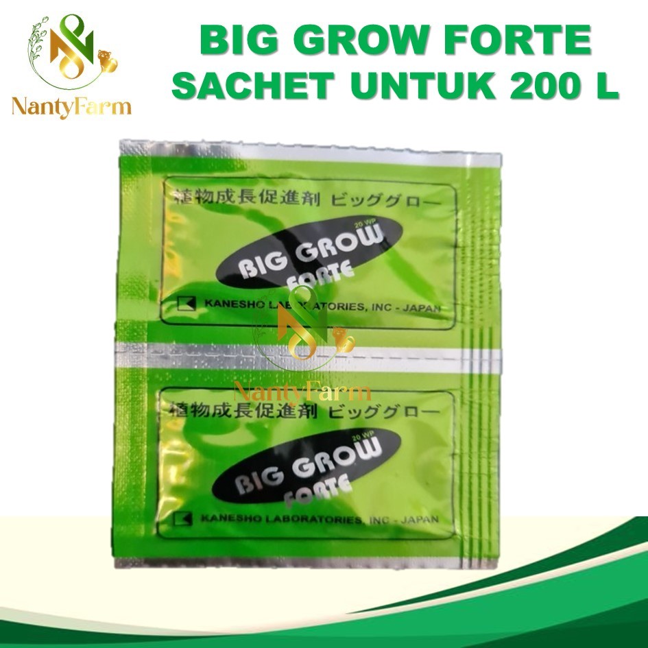 Jual ZPT Big Grow Forte 20WP Sachet 200 Liter | Shopee Indonesia
