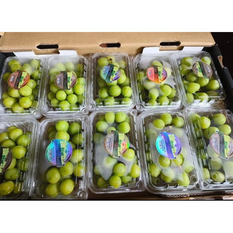 Jual ANGGUR SHINE MUSCAT PACK | Shopee Indonesia