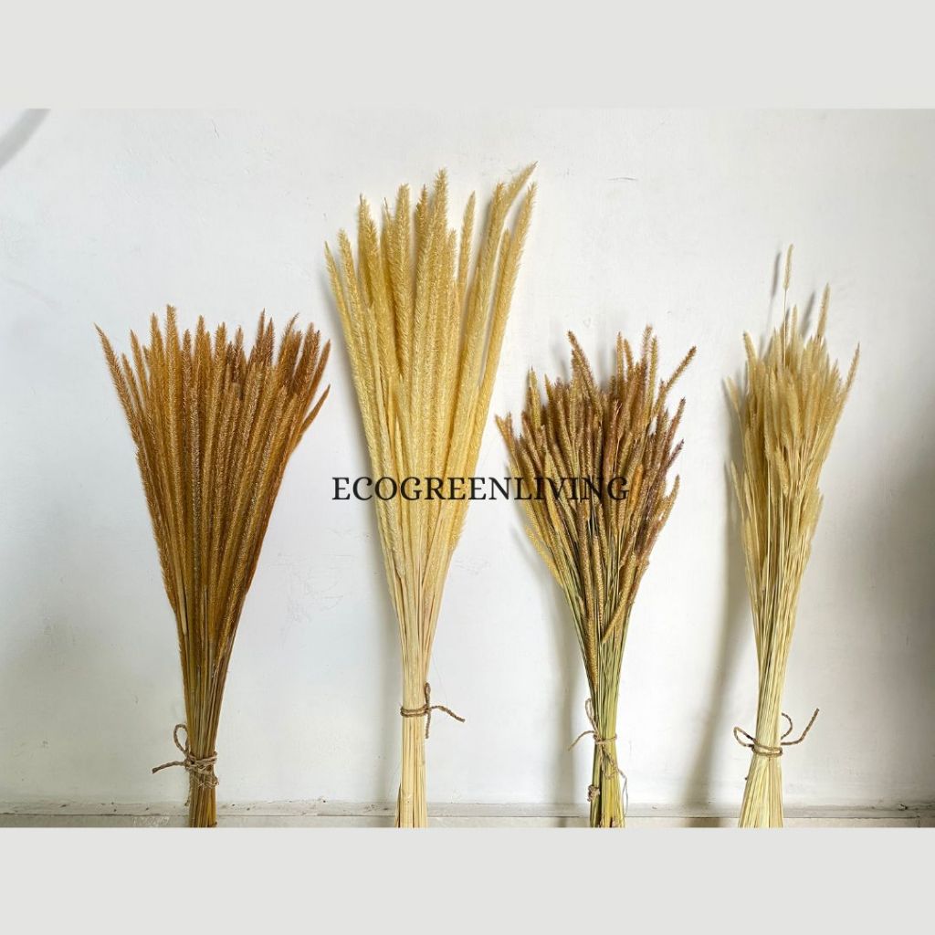 Jual Bunga Dekorasi / Bunga Ikat Kering / Dried Flower Ason / Grosir ...