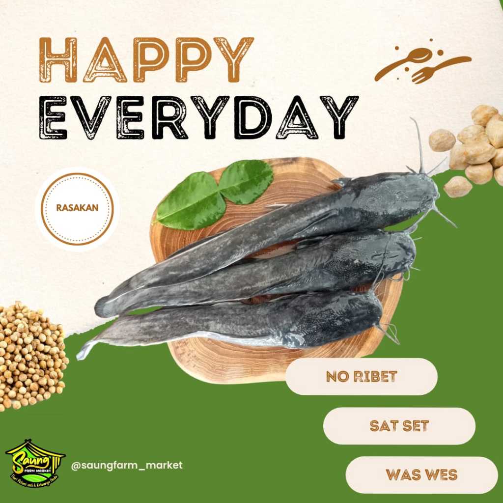 Jual ikan lele bumbu kuning frozen isi 6 ekor praktis siap goreng ...