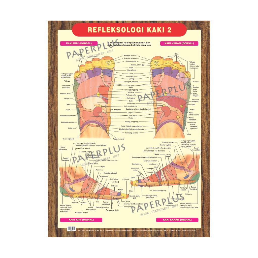 Jual Poster Kedokteran / Kesehatan / Refleksologi Kaki 2 | Shopee Indonesia