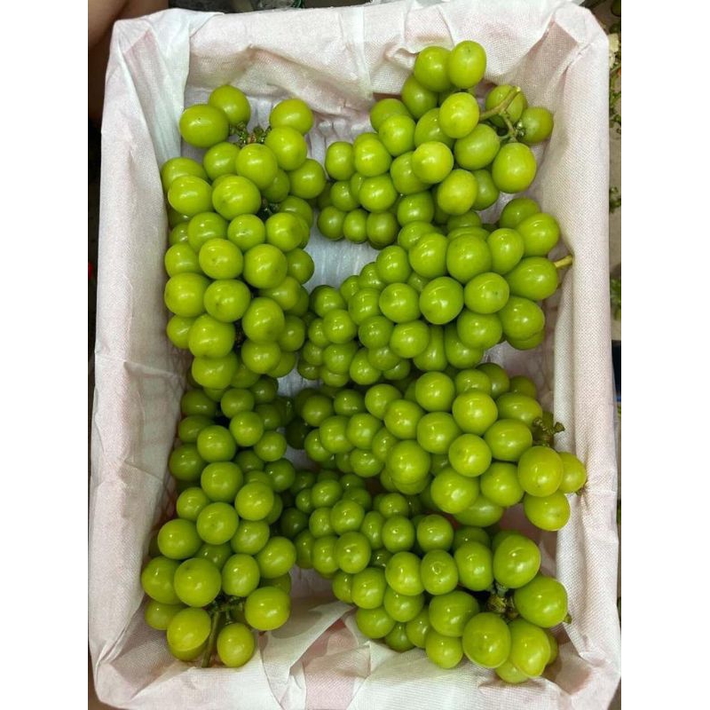 Jual Anggur Muscat Per Box | Shopee Indonesia