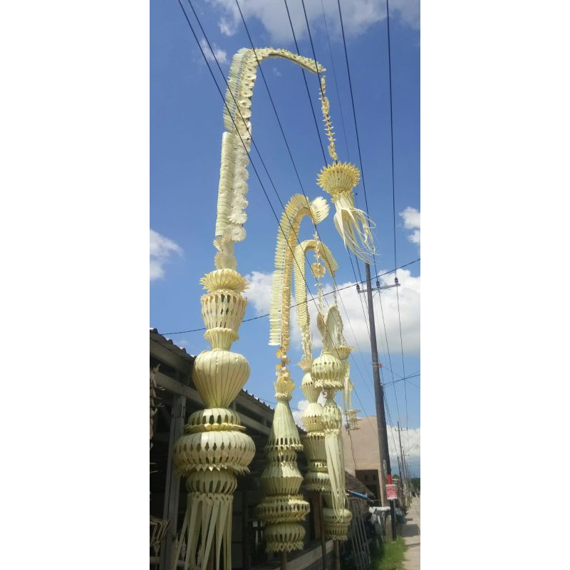 Jual Penjor plastik Pernikahan hajatan | Shopee Indonesia